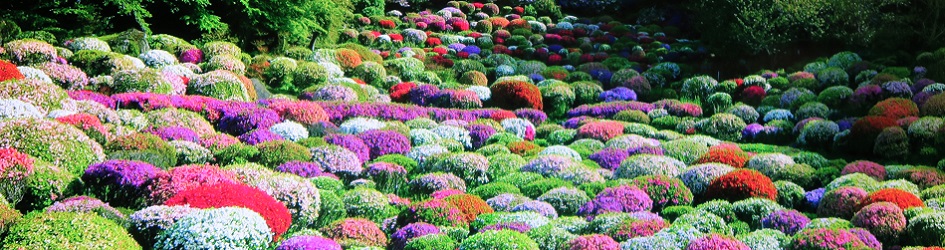 %e6%9d%be%e6%a3%ae%e7%8e%84%e9%96%a2%e5%86%85 | 日本住研（青森市）のホームページ